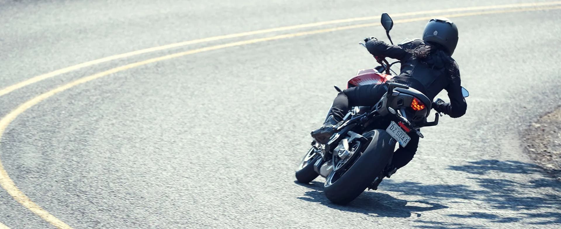 Tiger Sport 660 | For the Ride